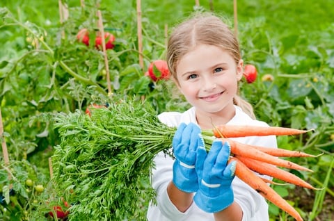 6 Ways to Have Fun with Veggies Outside the Garden