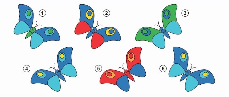 Visual Processing Explained Visual Discrimination Visual Processing Explained Visual Discrimination