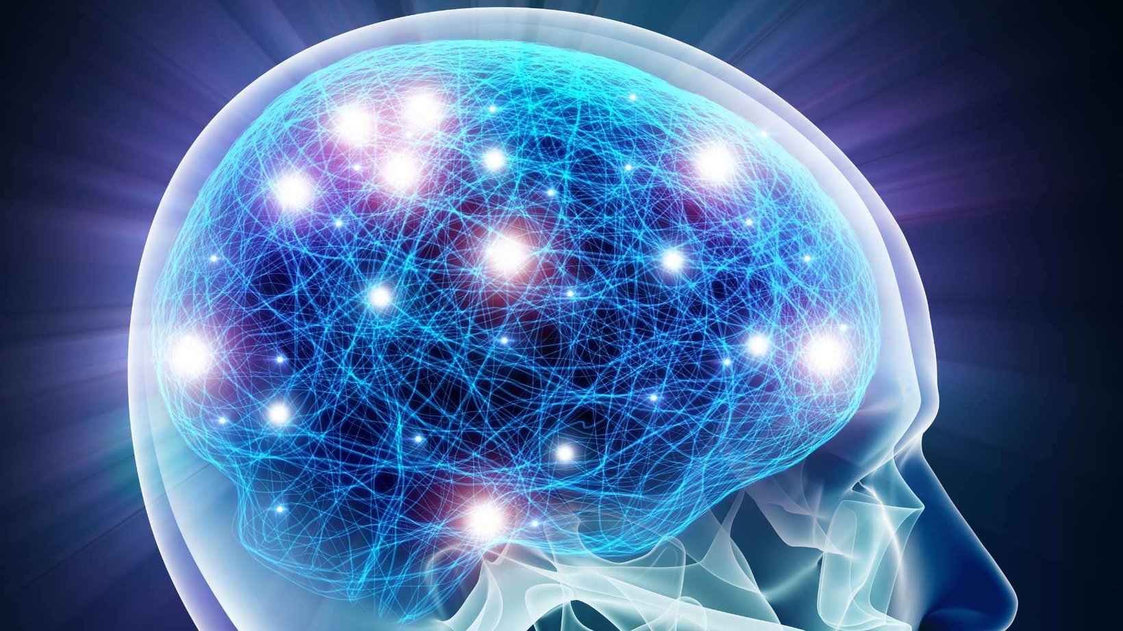 Understanding Brain Connectivity: How Our Minds Develop and Adapt