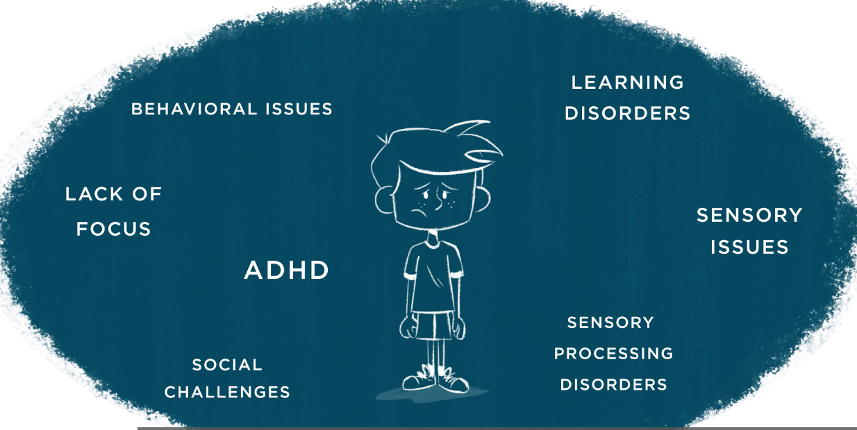How Does the Brain Balance Program Work?